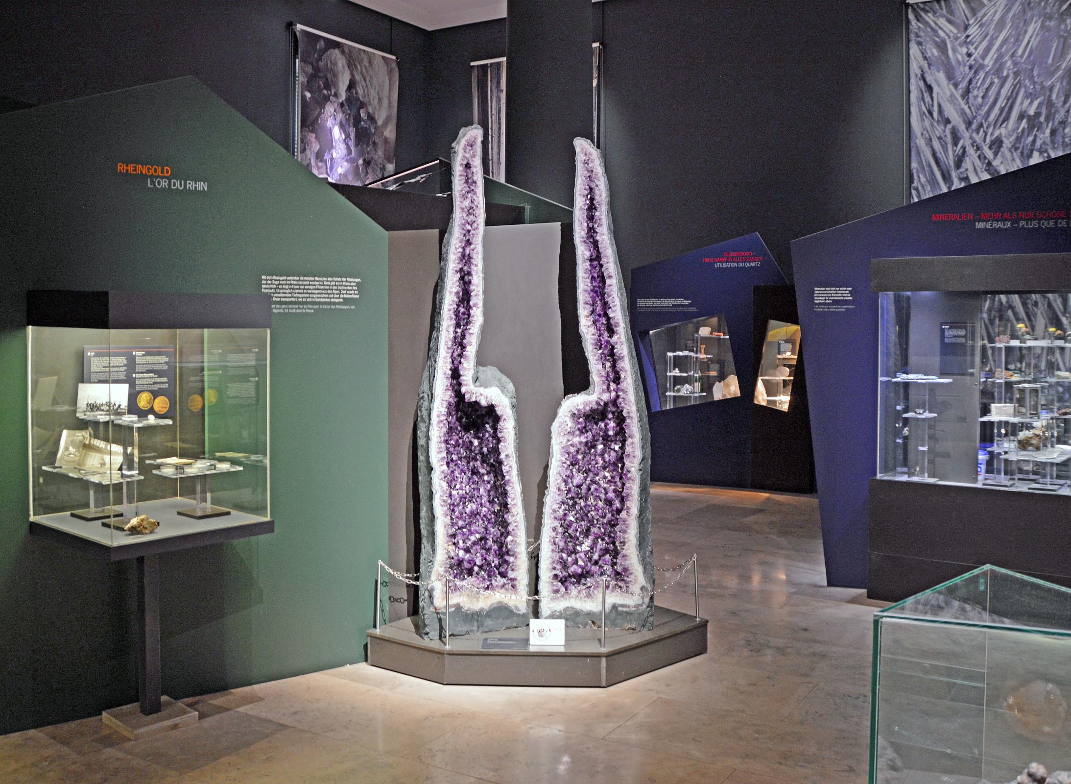 Staatliches Museum für Naturkunde Karlsruhe | LGRBwissen