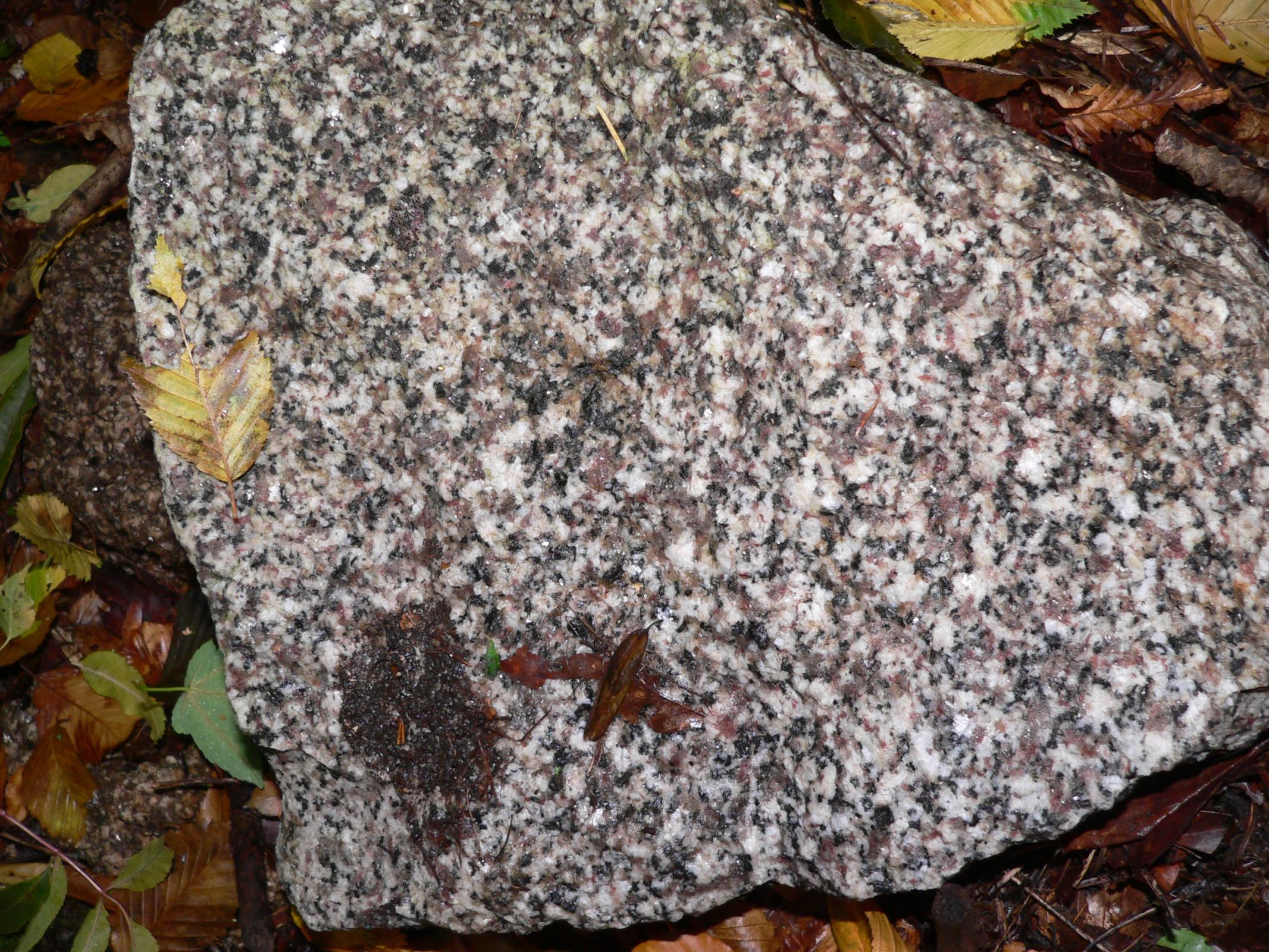 Granitoid-Komplex | LGRBwissen